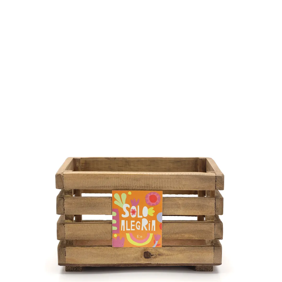 Multibox Sólo Alegría - Elementos Esenciales